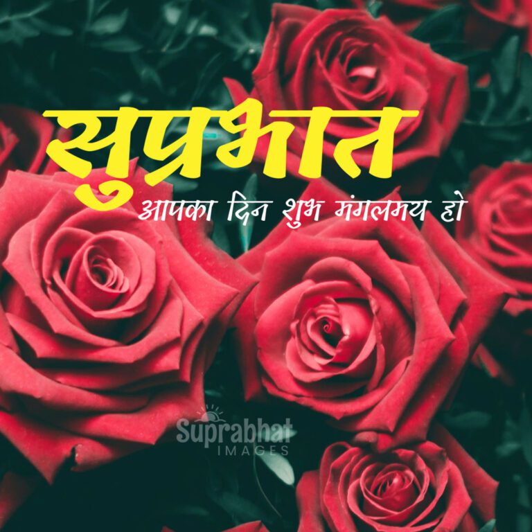 🌻Suprabhat Suvichar Images In Hindi